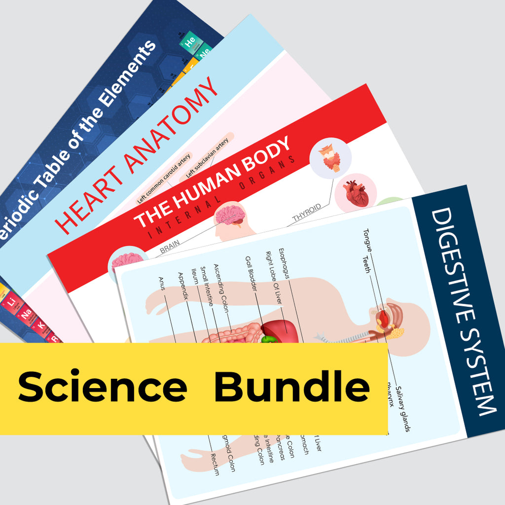 Science Posters Bundle - مجموعة ملصقات العلوم – Sa3eeda