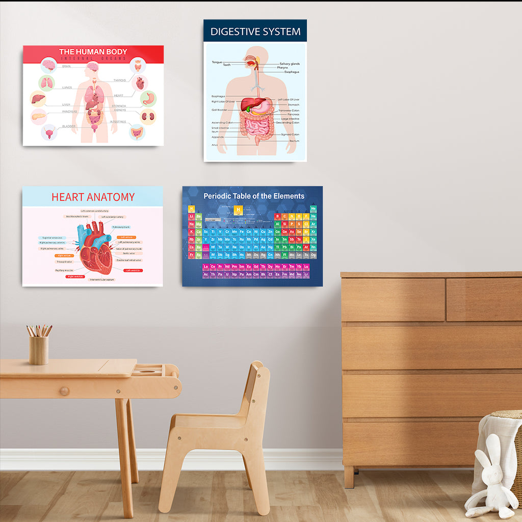 Science Posters Bundle - مجموعة ملصقات العلوم – Sa3eeda